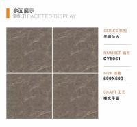 China 600*600mm Stoneware Rustic Porcelain Tile from China for sale
