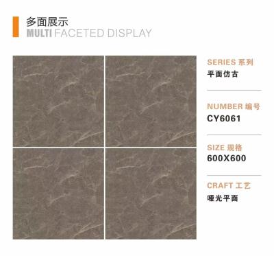 China 600*600mm Stoneware Rustic Porcelain Tile from China for sale