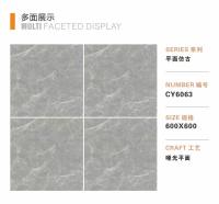 China 600X600 Rustic Matt Porcelain Tile Floor Modern Floor Tiles for sale