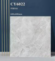 China Light Grey Rustic Porcelain Tile Matte Glazed Floor Tile For House And Hotel Decoration for sale