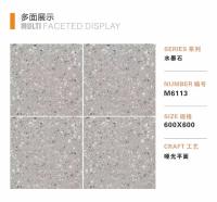 China Terrazzo Water Stone Glazed Rustic Tile 600x600 Matte Porcelain Floor Tile for sale