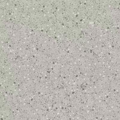 China 600*600 mm Terrazzo Interior Floor Tile Porcelain Rustic Tile from China for sale