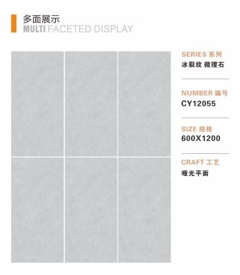 China Wholesale ceramic tile Foshan matte porcelain floor tile for indoor and outdoor for sale