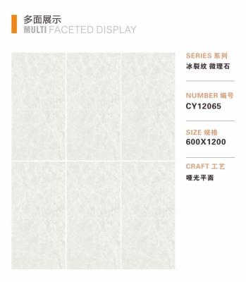 China Frost Resistant Full Body Matte Porcelain Tile For Project for sale