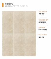 China 600x1200mm Marble Look Matte Porcelain Tile For Luxury Villa for sale