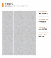 China Foshan tile supplier matte porcelain floor tile for house and hotel villa in size 600x1200mm for sale