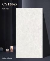 China Frost Resistant Full Body Matte Porcelain Tile For Project for sale