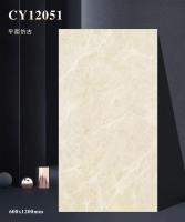 China 600x1200mm Marble Look Matte Porcelain Tile For Luxury Villa for sale