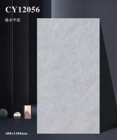 China Matte tile for Malaysia and Vietnam market for sale