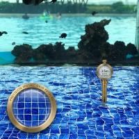 China 48X48mm Square Ceramic Mosaic Tiles Standard Porcelain Mosaic for Swimming Pool and Bathroom for sale