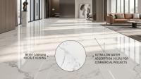 China Beige Carrara Polished Glazed Marble Porcelain Tile 800x800mm Water Absorption Below 0.5 Percent For Commercial Project for sale