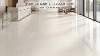 China Beige Carrara Full Body Polished Marble Porcelain Tile 600x600mm Frost Resistant Moisture Proof For Retail Store for sale