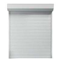 China Wind Resistant Metal Shutter Door Aluminum Alloy Rolling Shutter Door Anodized Finish for sale