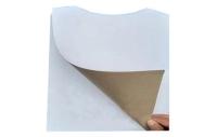 China 243-250gsm Duplex Board Grey Back for Shirt Insert Wholesale for sale