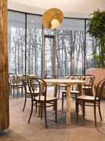 China Bentwood Bistro Chair 86cm Beech Wood Side Chair Natural Finish for Cafe Restaurant for sale
