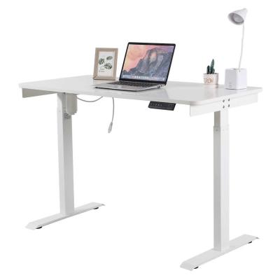 China Single Motor Electric Height Adjustable Computer Desk 33.73lbs 120x60cm for sale