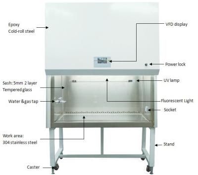 China 304 Stainless Steel Biological Safety Cabinet Class II 1300IIA2 with VFD Display 1200W Power for sale