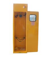 China Laboratories Single Cylinder Gas Storage Cabinet Practical Solution For Controlled Gas Handling for sale