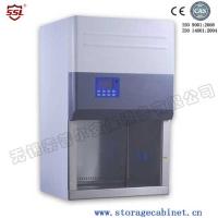 China Class II BIO Safety Cabinet A2 with Timer - 700×650×1230mm External Size, 1000W Power for Laboratory Use for sale