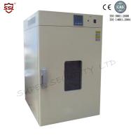 China Vertical Electric Lab Drying Oven Chamber with Vacuum Pump 220L Capacity 250°C Temperature Range for sale