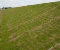 China 3D Geomat Erosion Control Mat for Landscape or Slope Protection Green Mat for sale