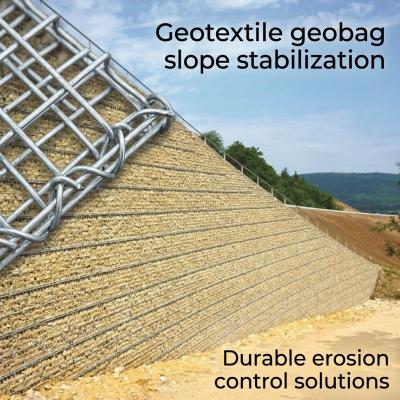 China High Strength UV Resistant Gabion Bags Polyethylene Geobag For Flood Control for sale