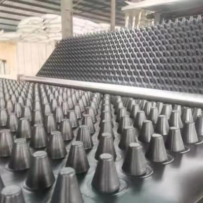 China PVC Plastic Drainage Board Fast Installation Vertical Drain System for sale