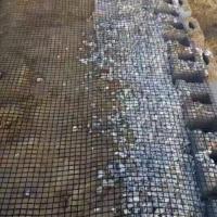 China High Modulus Fiberglass Geogrid Low Elongation Soil Stabilization Material for sale