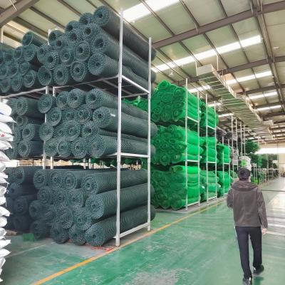 China Durable Plastic Geonet for Highway Subgrade Reinforcement Crack Prevention and Load Distribution for sale