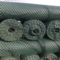 China 3D Composite Drainage Geonet Highway Drainage HDPE Net Slope Protection for sale