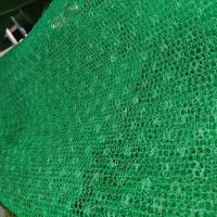 China Soil Reinforcement Geo Net 500gsm - 1240gsm Base Stabilization  HDPE Geonet for sale