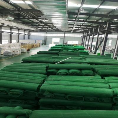 China Heavy Duty Geonet for Coastal Protection Embankment Reinforcement and Wave Impact Resistance for sale
