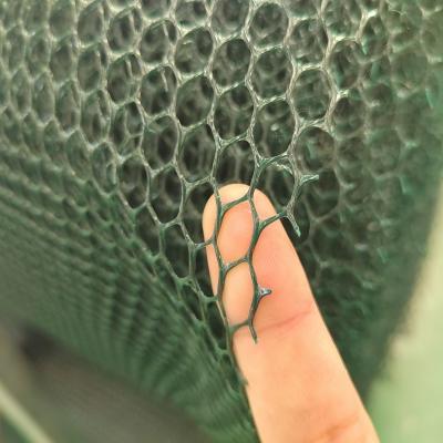 China 3D Composite Drainage Geonet Highway Drainage HDPE Net Slope Protection for sale