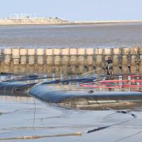 China High Capacity Geotube Dewatering Waste Reduction Landfill Geotextile Bags For Dredging for sale