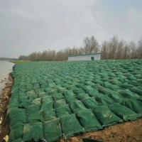 China High Strength Geofabric Sandbags 0.5M Flood Control Geotextile Bags For Dredging for sale