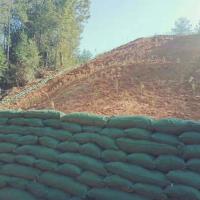 China Heavy Duty Geotextile Bag High Tensile Concrete Filled Geo Bags Dewatering for sale