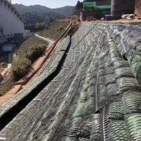 China UV Resistant Uniaxial Plastic Geogrid Slope Protection HDPE PP Geogrid Driveway for sale