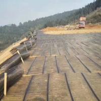 China Soil Retention Geogrid Geotextile HDPE PP Geogrid Subgrade Stabilization for sale