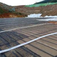 China PP HDPE Uniaxial Plastic Geogrid UV Resistant Geogrid Mesh Retaining Wall for sale
