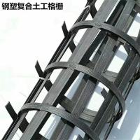 China Wall Reinforcement Steel Plastic Geogrid High Load Geogrid Driveway 50m for sale
