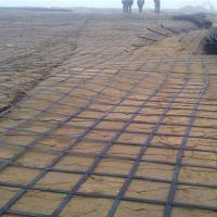 China Black Steel Plastic Geogrid 2m – 6m  Steel Wire Polymer Geo Grid Ground Grid for sale