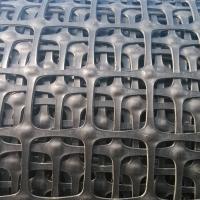 China High Strength Plastic Geogrid Polypropylene Polyethylene Pp Biaxial Geogrid for sale