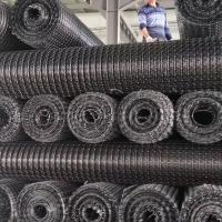 China High Strength Plastic Geogrid Polypropylene Polyethylene Pp Biaxial Geogrid for sale