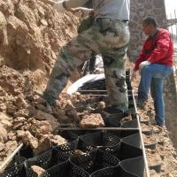 China Erosion Control Geocell Grid Driveway Black Vegetation Support Geocell Hdpe for sale