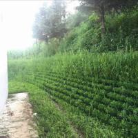 China High Strength HDPE Geocell Solutions for Road Reinforcement Load Bearing Stabilization and Subgrade Protection for sale