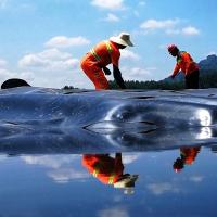 China Waterproofing Geo Membrane Construction 0.5mm Hdpe Geomembrane Pond Liner for sale