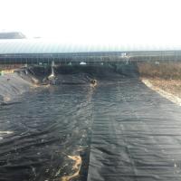 China Waterproofing Geo Membrane Construction 0.5mm Hdpe Geomembrane Pond Liner for sale