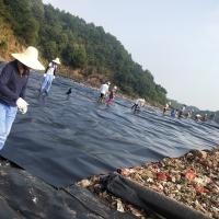 China 6m PVC Geo Membrane Chemical Resistant Geodrain Membrane For Wastewater Containment for sale