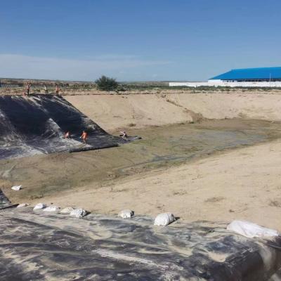 China 6m PVC Geo Membrane Chemical Resistant Geodrain Membrane For Wastewater Containment for sale
