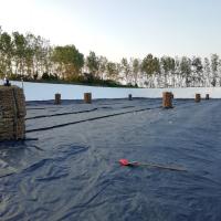 China Mining Tailings Pond Hdpe Geomembrane Sheets Environmental  Geomembrane Fabric for sale